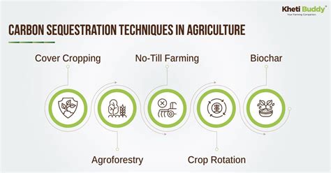 Carbon Sequestration Techniques In Agriculture Harnessing Data For A Sustainable Future