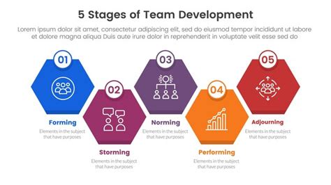 Premium Vector 5 Stages Team Development Model Framework Infographic