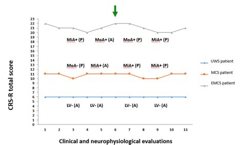 Figure 2 From Multimodal Neuroimaging Approach To Variability Of Functional Connectivity In