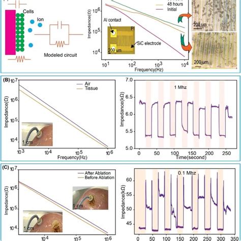 Biomedical Application Of Sic‐based Electronic Devices A The Cell Download Scientific Diagram