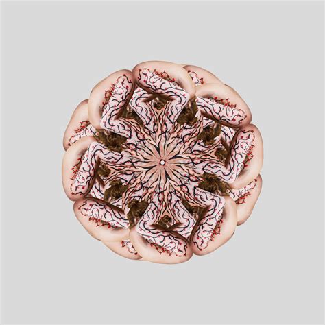 Nude Circle Series On Behance