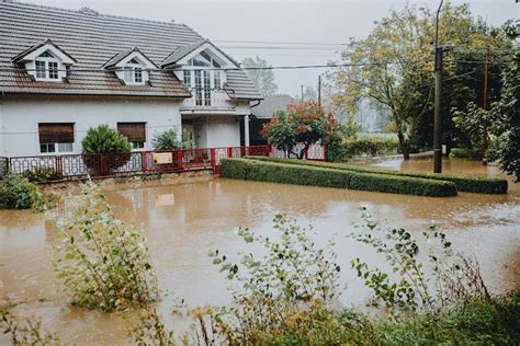 Expert Consulting For Large Loss Claims Who To Call Insurance Claim Recovery Support Public