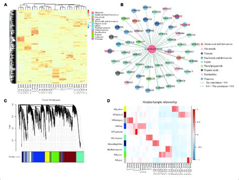 Integrated Analysis Of Metabolome And Transcriptome Revealed The Download Scientific Diagram