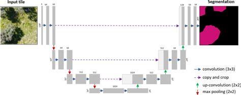 Ali Haquani On Linkedin Convolutional Neural Networks Enable Efficient