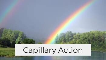 Capillary Action Experiment By Kempter Classroom TPT