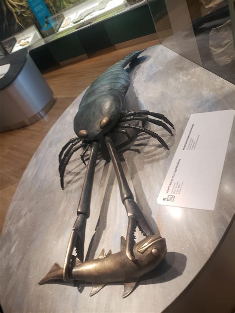 L Get Prehistoric Spidered R Lilest Idiot