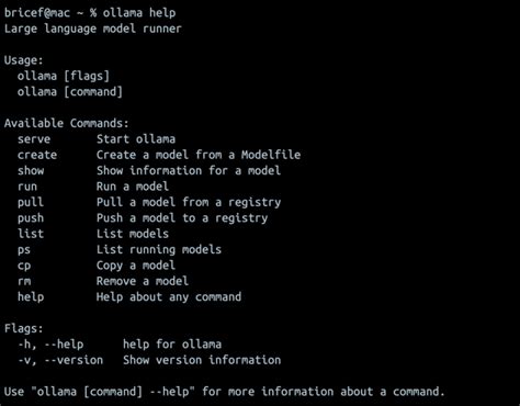 How To Run Open Source Llms Locally With Ollama And Docker — Llama31