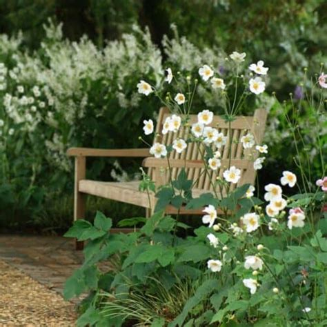 How To Make A Shade Garden DIY And Fun