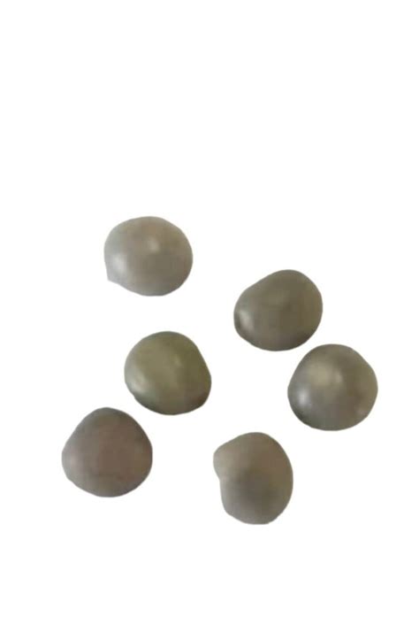 Semilla Quita Maldicion Seed Etsy