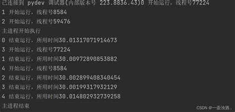 Python 多进程