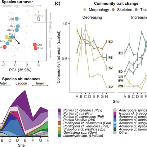Assemblage‐level Shifts In Species And Trait Composition Across The