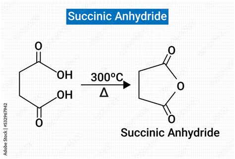 Chemical Structure Of Succinic Anhydride Stock Vector Adobe Stock