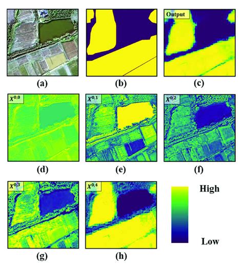 Visualized Feature Maps Within The Model A Original Image B