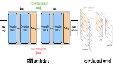The Typical Architecture Of Cnn And A Convolution Kernel The Process Download Scientific