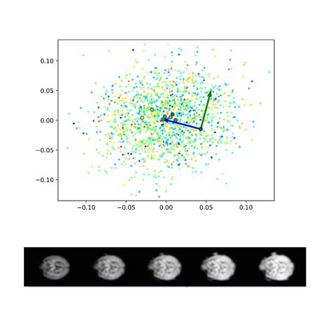 Orthogonal Contributions In This Experiment The Images Shown Are Download Scientific