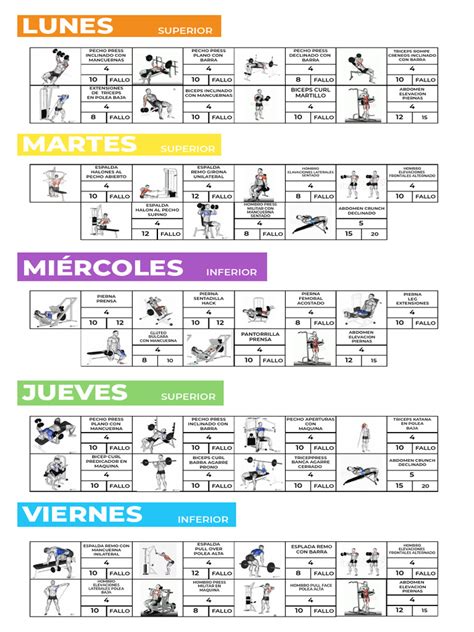 Rutina De Ejercicios Semanal De Fuerza Pdf Entrenamiento Con Pesas Entrenamiento De Fuerza