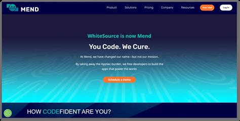 The 7 Best Veracode Alternatives In The Market Today