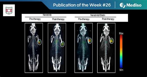 Mediso Imaging Preclinicalimaging Molecularimaging Cancerresearch