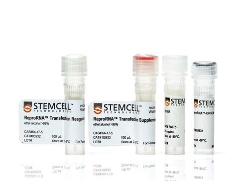 Reprorna Oksgm Kit 製品情報 ベリタス