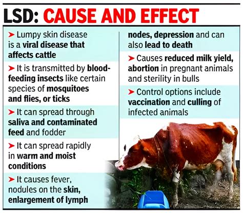 House Panel Questions Government Data On Lumpy Disease In Cattle Pwonlyias
