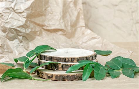 구겨진 양피지 종이의 배경에 녹색 잎으로 장식 된 천연 화장품의 프리젠 테이션을위한 나무 연단 화장품 프리젠 테이션을위한 천연 나무 프레임의 연단 모형 0명에 대한 스톡