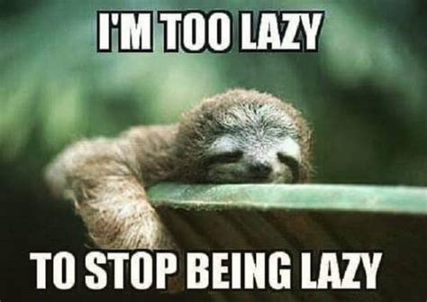 40 Best Sloth Meme Meme Central