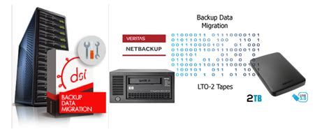 NetBackup Tape Migration Data Strategies Interchange