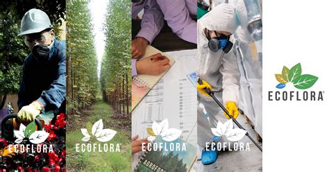 ECOFLORA comprometida con el medio ambiente - ECOFLORA