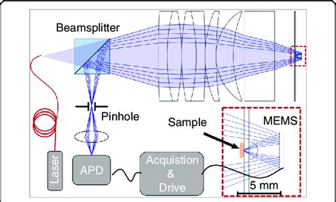 Schematic Diagram Of The Confocal Imaging Setup A Magnified View Of