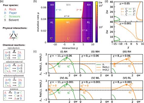 Figure 1 From Influence Of Physical Interactions On Spatiotemporal Patterns Semantic Scholar