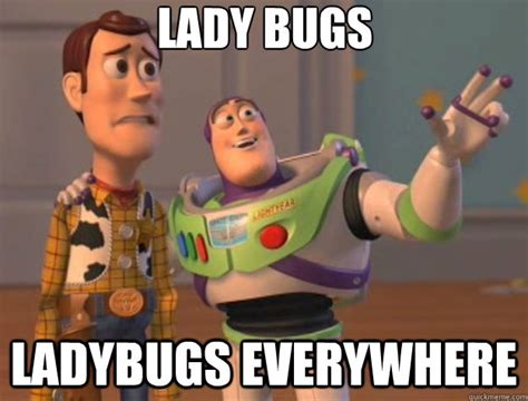 Lady Bugs Ladybugs Everywhere Toy Story Quickmeme