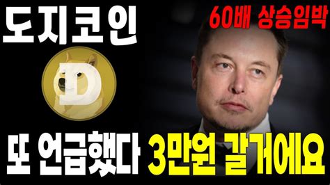 도지코인 전망 일론머스크 또 언급 도지 60배 상승한다 도지코인 도지코인대응 밈코인 비트코인 차트분석 일론머스크