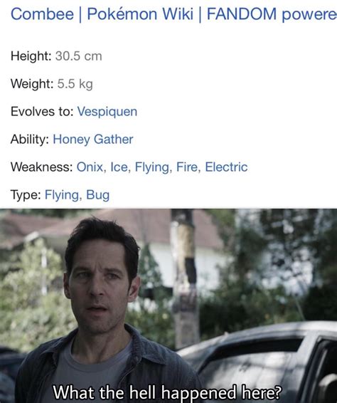 I Have A Newfound Fear Of Onix R Pokemon