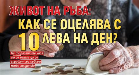 Живот на ръба Как се оцелява с 10 лева на ден Lupa Bg