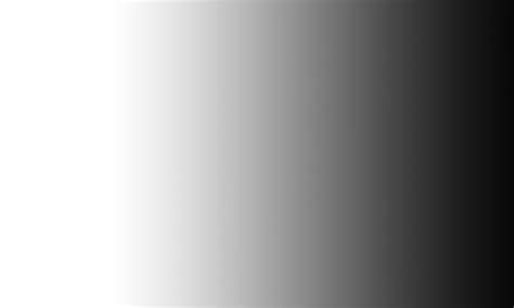 Alyssa Chappell Photography Floridas Top Senior Photographer