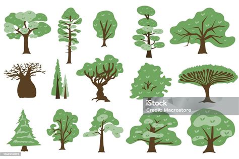 플랫 만화 디자인의 녹색 나무 컨셉 컬렉션 녹색 왕관과 낙엽과 수선 나무의 다른 유형 공원 정원 및 숲 식물은 고립 된 요소를 설정합니다 벡터 일러스트레이션 나무에 대한