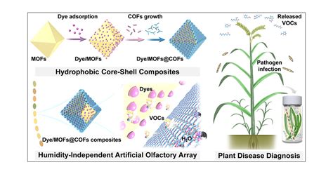 Humidity Independent Artificial Olfactory Array Enabled By Hydrophobic Coreshell Dyemofscofs