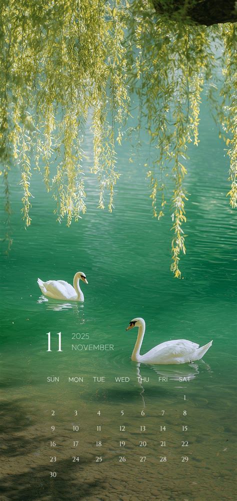 무료 템플릿 툴디 Tooldi