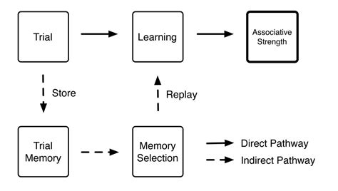 Associative Learning