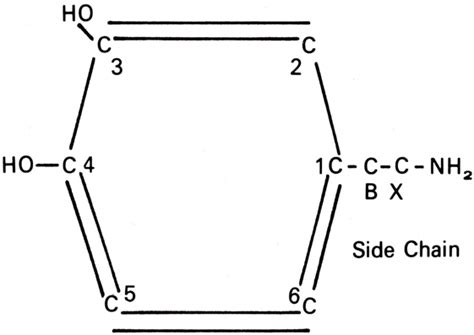 Cathecholamine Structure Of Adrenergic Drugs Download Scientific Diagram