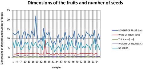Correlation Between The Dimensions Of The Fruit And The Number Of Seeds