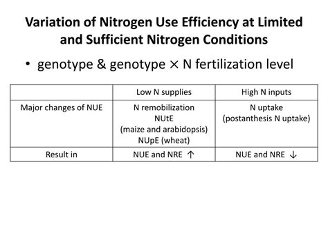 Ppt Plant Nitrogen Assimilation And Use Efficiency Powerpoint Presentation Id2214992