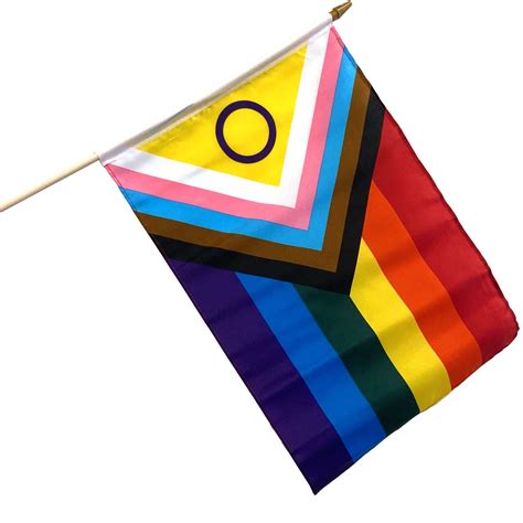 Discover The Diversity Of Flags For Pride Unveiling All The Pride