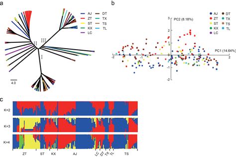 Population Structure Analysis Of Nine Ex Situ Populations A Download Scientific Diagram