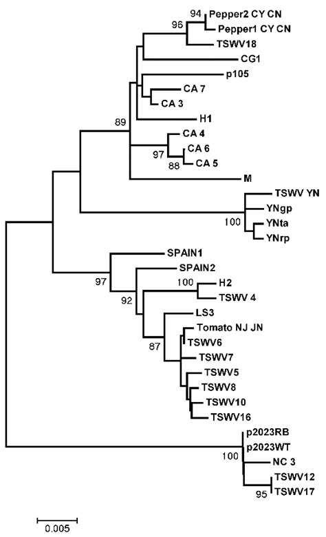 Phylogenic Analysis Of The Nucleotide Sequences Of The N A Nss B