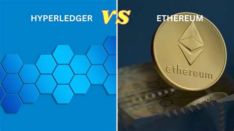 What Is Hyperledger In Blockchain Everything You Need To Know Uisort Technologies Updates