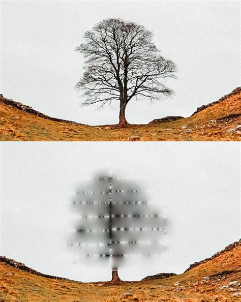 Spot Healing Brush Error It Makes Block Pattern Adobe Community