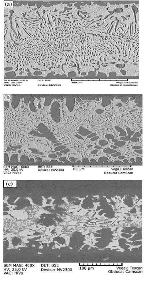 Sem Microstructure Of The Copper Beryllium Alloy Bonded At 780 °c For