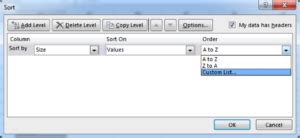 Sorting And Filtering Data Computer Applications For Managers