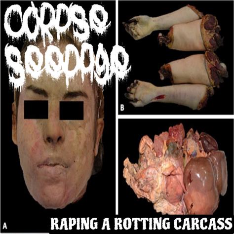 Raping A Rotting Carcass Corpse Seepage